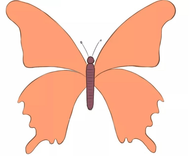 5 cách vẽ con bướm đẹp đơn giản cho trẻ mầm non