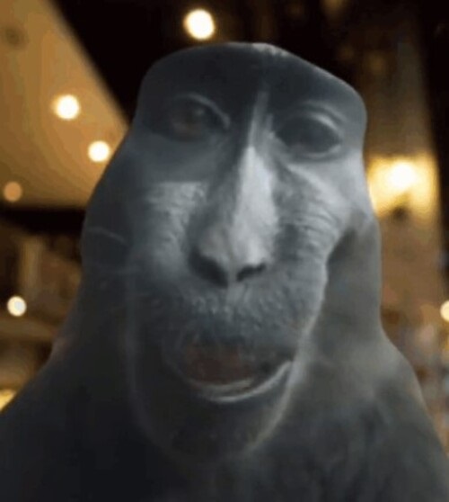 66+ ảnh meme mewing siêu hài hước với cách đặt lưỡi đúng